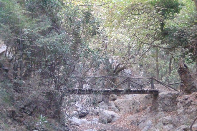 Full-Day Land Rover Safari from Rethymno with Lunch Swimming - Final Thoughts