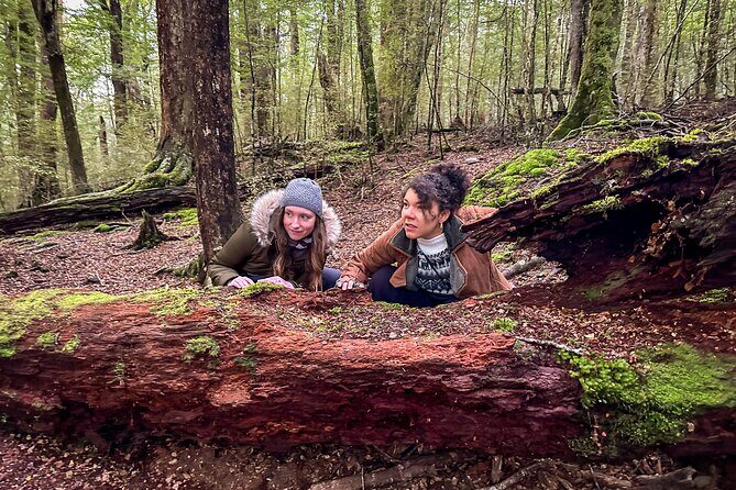 Full Day Lord of the Rings Mavora Lakes Adventure! - The Itinerary in Detail: What to Expect