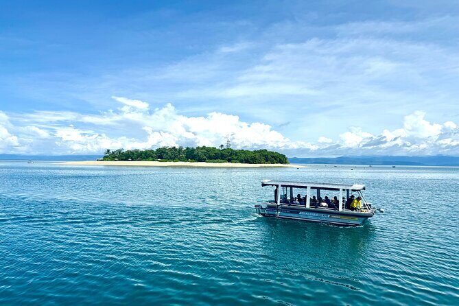 Full Day Low Isles Sailing & Snorkelling Cruise from Port Douglas - FAQ