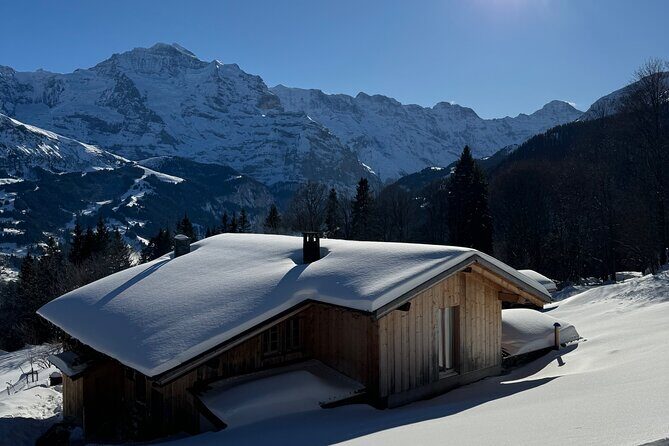 Full Day Luxury Private Tour in Swiss ALPS - Swiss Alps Luxury Private Day Tour: An Honest Look