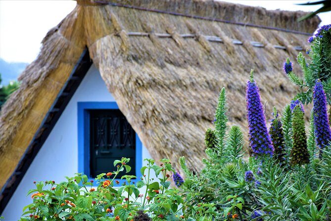 Full Day - Madeira East - What Travelers Say: Authentic Insights