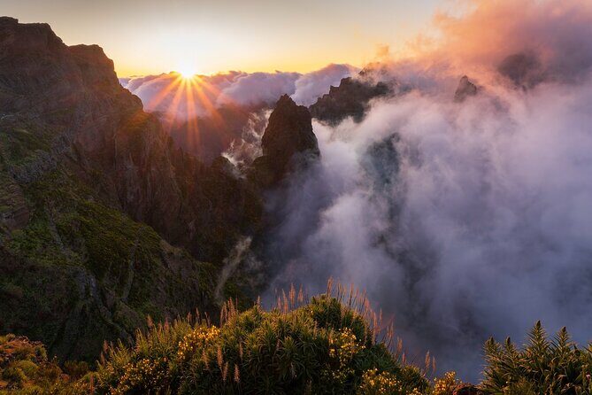 Full Day Madeira Island Tour - Open Roof - FAQ