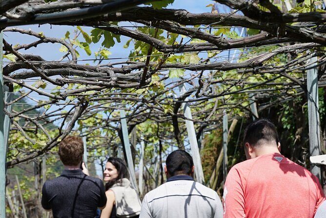 Full-Day Madeira Wine Tasting Tour with Lunch - Final Thoughts