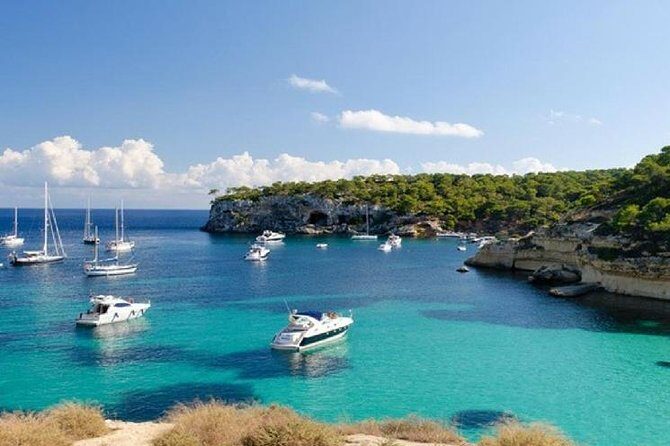 Full-Day Mallorca Caves Tour: Drach, Hams & Pearl Factory Visit - The Sum Up