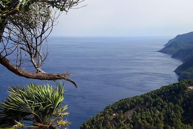 Full-Day Mallorca Caves Tour: Drach, Hams & Pearl Factory Visit - FAQ