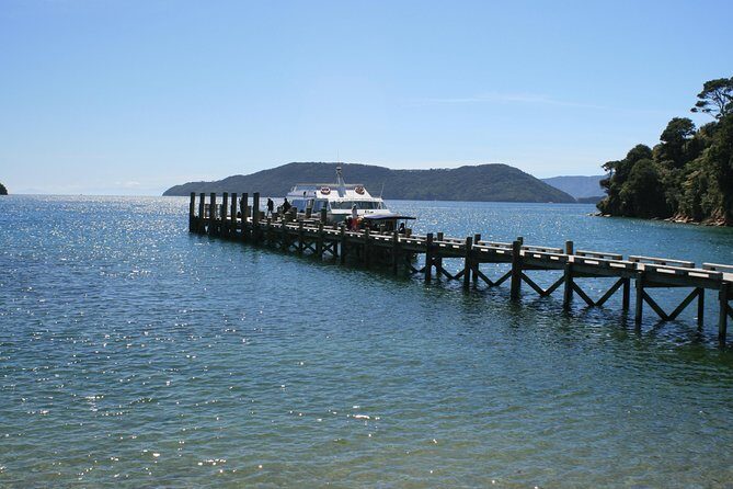 Full-Day Marlborough Catamaran Cruise with Wine Tour and Lunch - A Detailed Look at the Full-Day Marlborough Catamaran Cruise with Wine Tour and Lunch