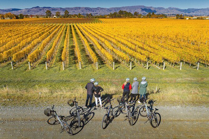 Full-Day Marlborough Wine Region Bike Hire - The Practicalities: Price, Equipment, and Logistics