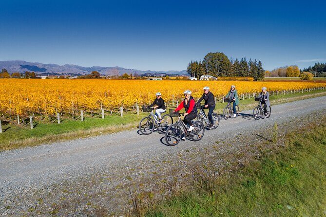 Full-Day Marlborough Wine Region Bike Hire - Authentic Experiences & Insider Tips