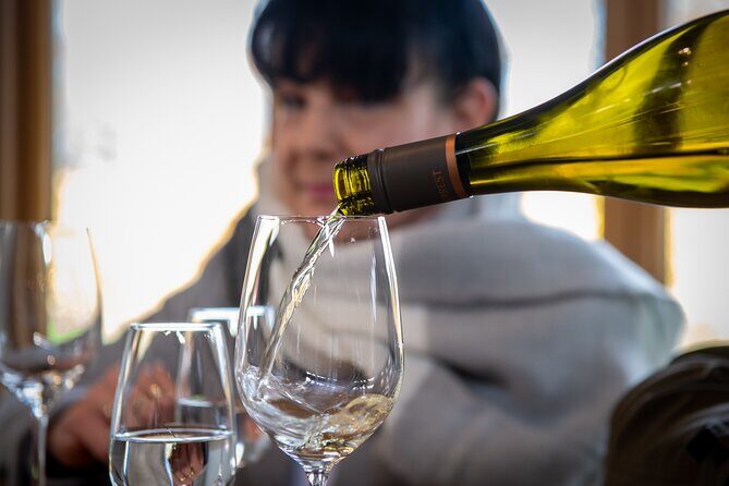 Full-Day Marlborough Wine Tour Including Wine Tasting - Summary: Is this tour right for you?