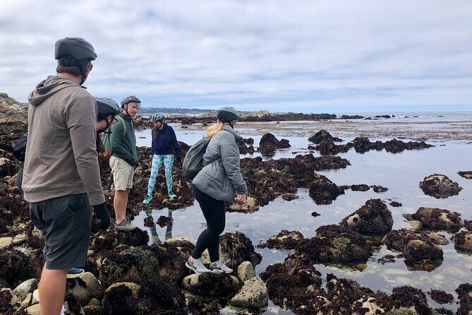 Full Day, Monterey Peninsula, 17 Mile Dr and Carmel eBike Rental - FAQ