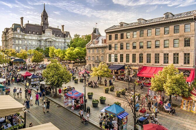 Full-Day Montreal City Tour from Ottawa and optional city cruise - What Travelers Say: Authentic Perspectives