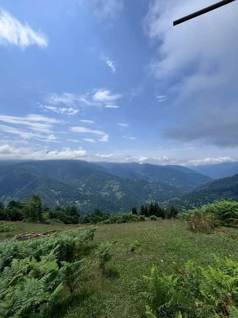 Full Day Mountine Tours from Batumi - Key Points