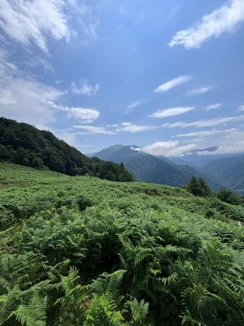 Full Day Mountine Tours from Batumi - An Authentic Mountain Adventure with a Personal Touch
