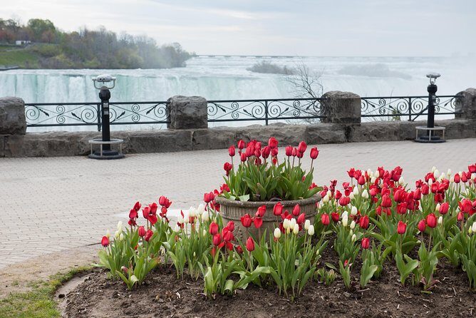 Full-Day Niagara Falls Tour from Toronto w/Boat/JBF/Tower - Who Is This Tour Best For?