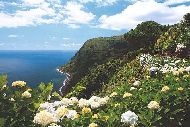 Full-Day Nordeste & waterfall Tour with Lunch - Key Points