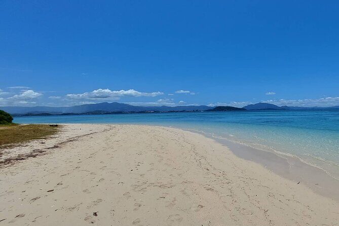 Full Day Nouméa Signal Island Turtle Tour - The Sum Up