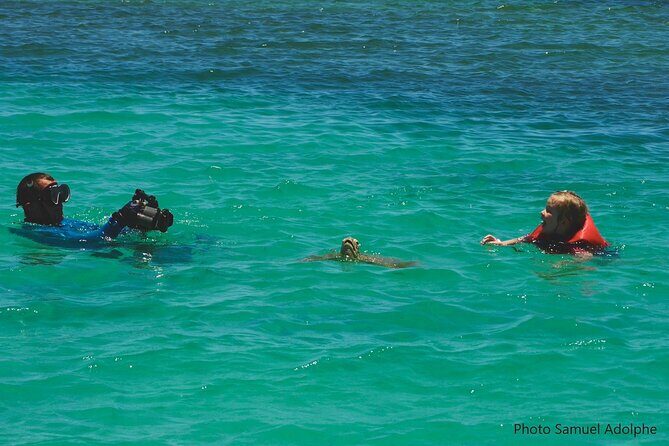 Full Day Nouméa Signal Island Turtle Tour - FAQ