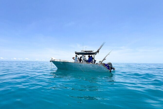 Full Day Offshore Reef and Sport Fishing Charter in Darwin - Why This Tour Offers Great Value
