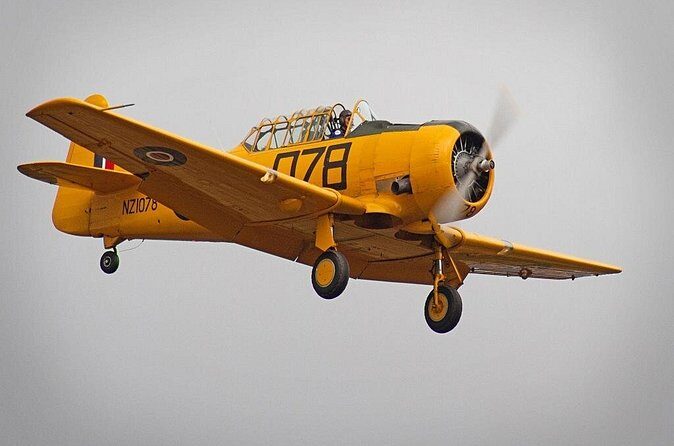 Full-Day Omaka Aviation Heritage Center and Wine Tasting Tour - Who Will Love This Tour?