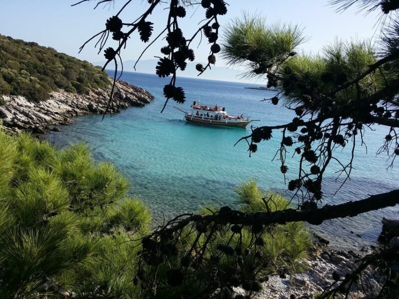 Full-Day Orak Island Boat Trip from Bodrum - Who Will Love This Experience?