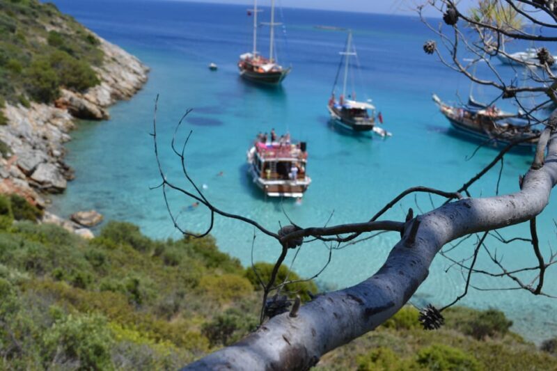 Full-Day Orak Island Boat Trip from Bodrum - Final Thoughts