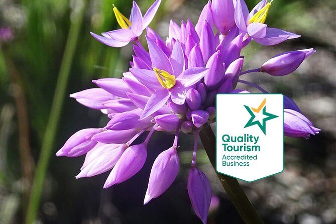 Full-Day Perth, Fremantle, Swan Valley & Wildlife Park - FAQs