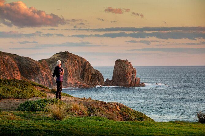 Full-Day Phillip Island Tour with Kangaroo, Koala and Penguin Parade - Who is this tour best suited for?