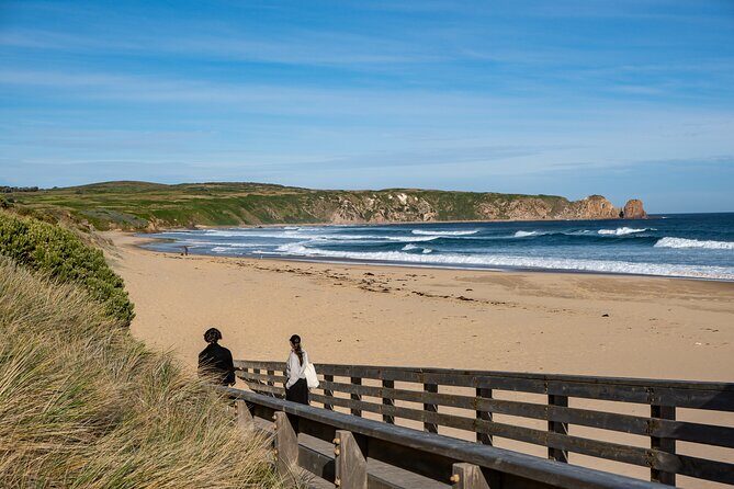 Full-Day Phillip Island Tour with Kangaroo, Koala and Penguin Parade - The Sum Up