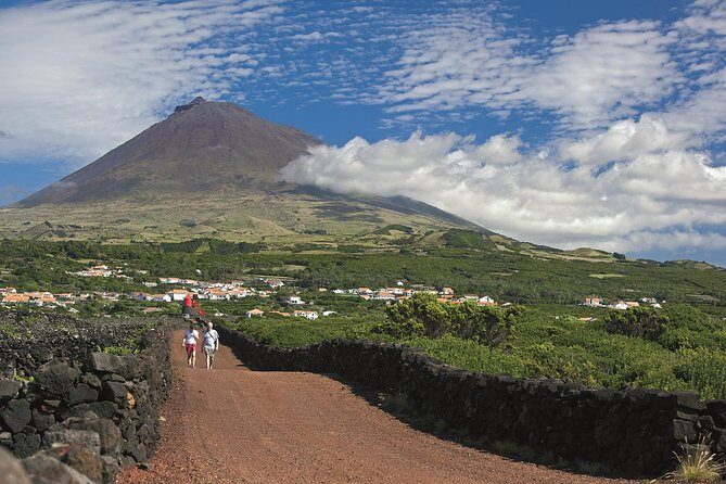 Full-Day Pico Island Tour from Horta - An In-Depth Look at the Pico Island Tour