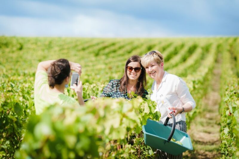Full Day Pommery Small Group Tour - FAQ