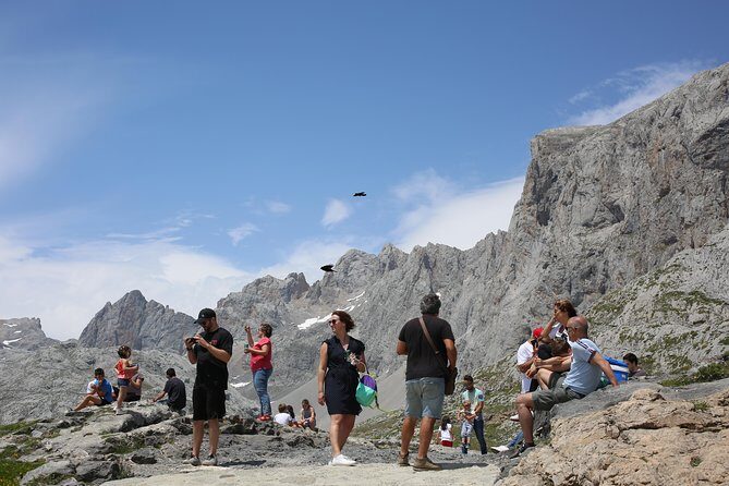 Full Day Private 4WD Tour from Bilbao to Picos de Europa. Fine meals. - Who Will Love This Tour?