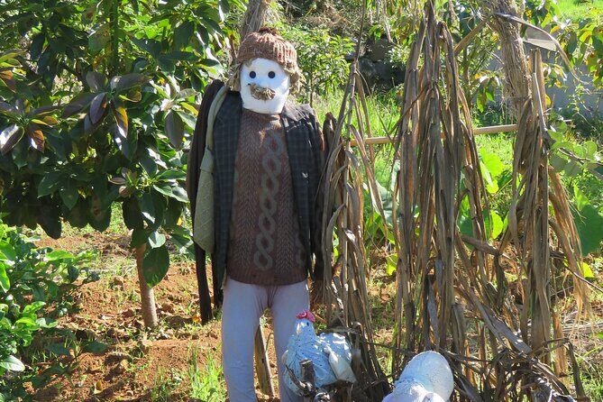 Full Day Private 4x4 Adventure in Madeira - The Full Breakdown of the Madeira 4x4 Tour