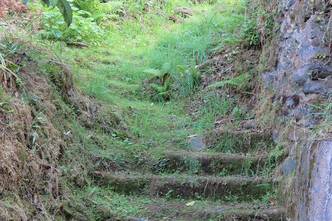 Full Day Private 4x4 Adventure in Madeira - Final Words