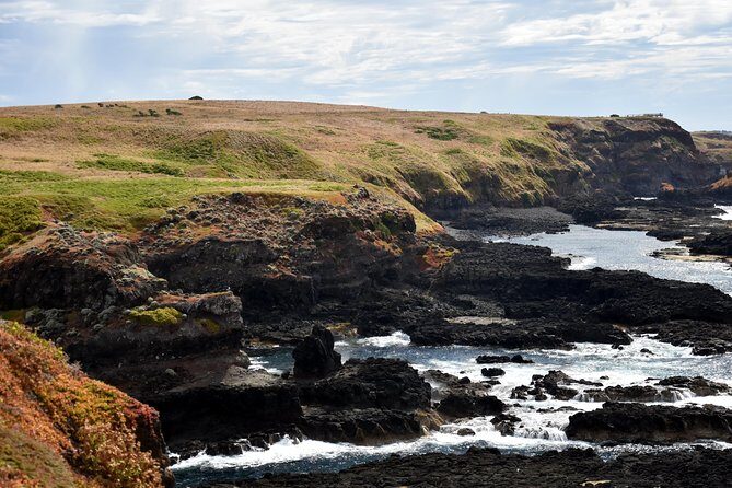 Full-Day Private Australian Wildlife Tour of Phillip Island - Analyzing the Value and Experience