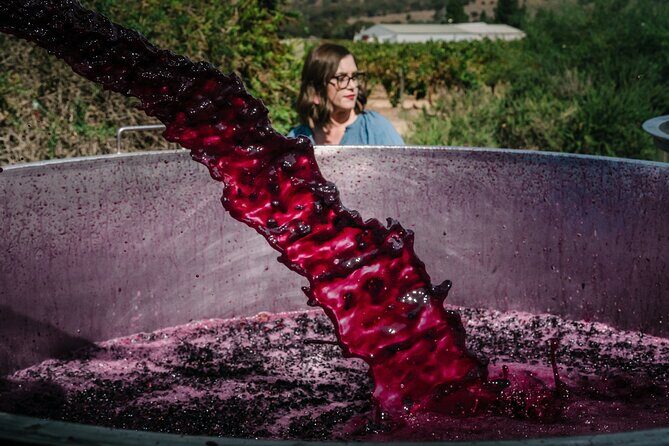 Full Day Private Barossa Valley Wine Tour - An In-Depth Look at the Full Day Experience