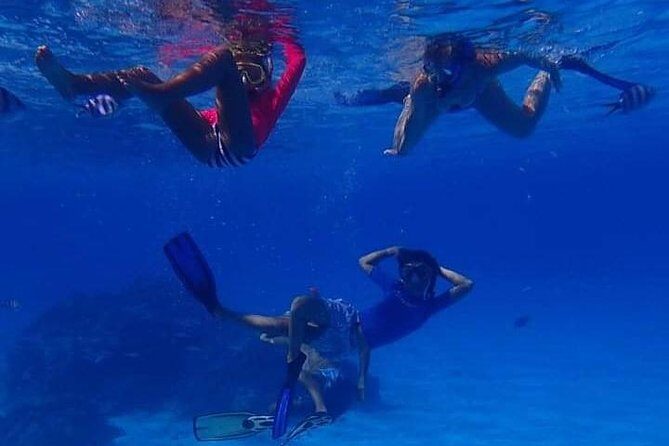 Full-Day Private Boat Tour of Bora Bora Lagoon with Snorkel - The Beauty of Bora Bora’s Lagoon