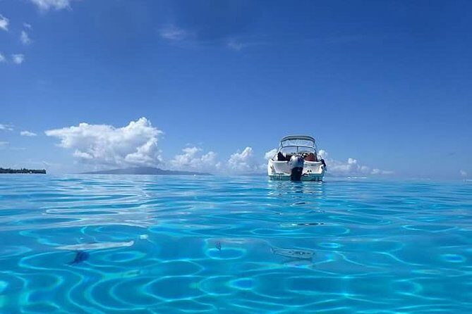 Full-Day Private Boat Tour of Bora Bora Lagoon with Snorkel - Analyzing the Cost and Value