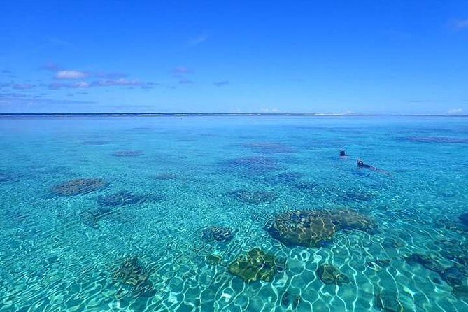 Full-Day Private Boat Tour of Bora Bora Lagoon with Snorkel - Practical Tips for Booking and Enjoying