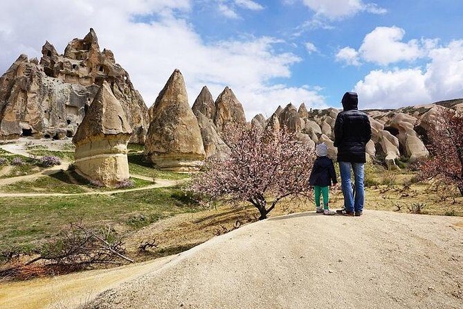 Full Day Private Cappadocia Tour (Luxury Van + Private Guide ) - FAQ