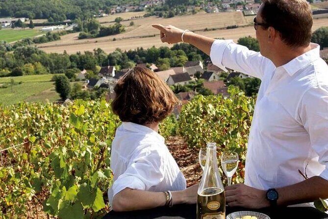 Full-Day Private Champagne Tasting in Reims and its Vineyards - Key Points