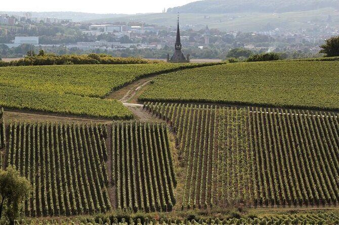 Full-Day Private Champagne Tasting in Reims and its Vineyards - Frequently Asked Questions (FAQ)