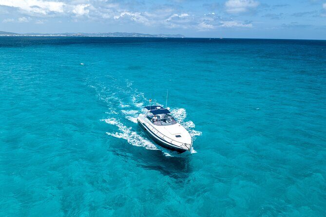 Full Day Private Charter in Ibiza - Key Points