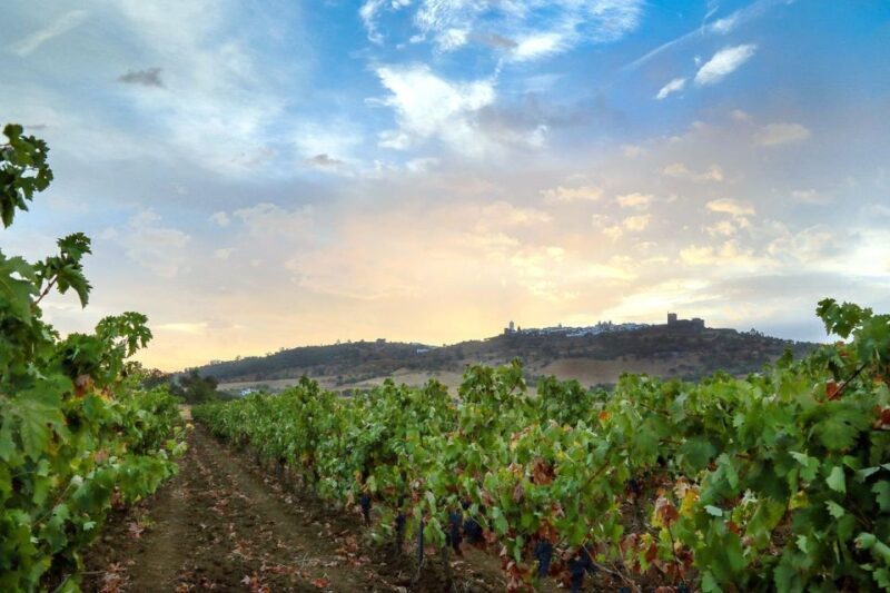 Full-Day Private Cultural Tour in Evora and Monsaraz - Detailed Breakdown of the Tour Experience