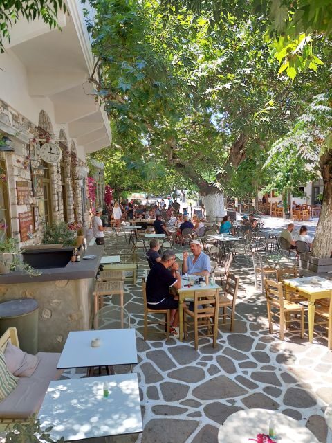 Full-Day Private food tour in Naxos local Villages - Final Thoughts