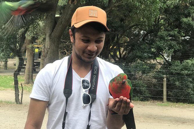 Full-Day Private Group Great Ocean Road Tour from Melbourne - Exploring the Charm of Apollo Bay