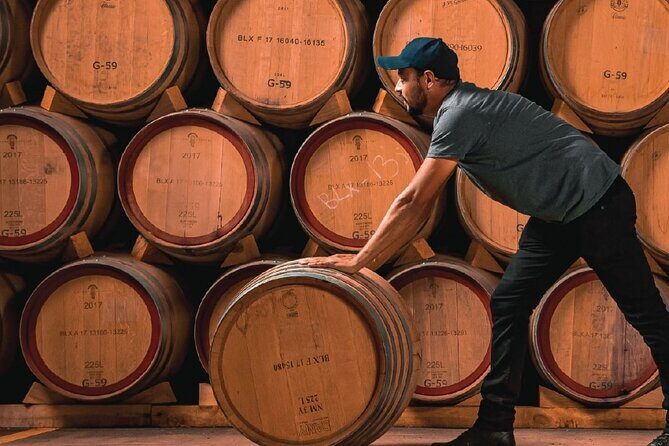 Full Day Private Guided Tour of Arandas Jalisco Distilleries - Introduction: A Taste of Authentic Jalisco