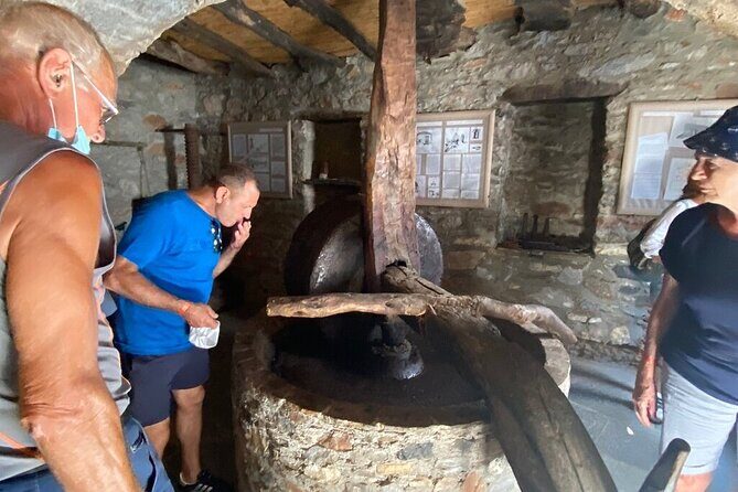 Full-Day Private highlights tour in Naxos island - Who Should Consider This Tour?