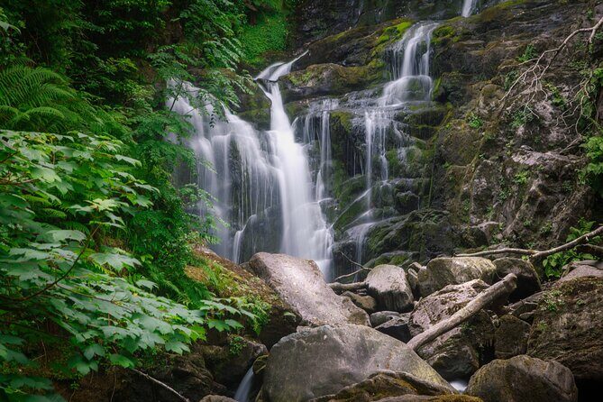 Full-Day Private Historical Tour at Ring of Kerry - The Sum Up