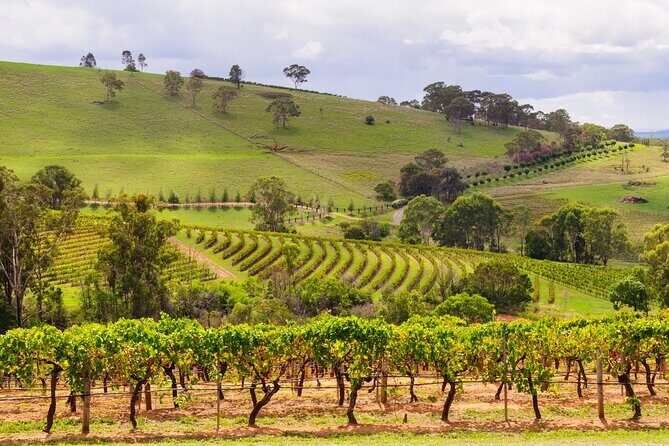 Full Day Private Hunter Valley Wine Tour from Sydney - Key Points