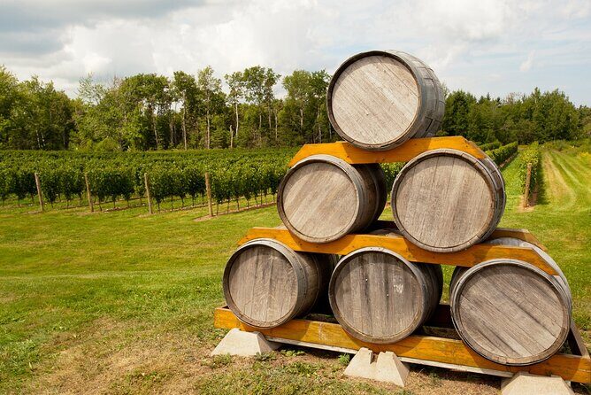 Full-Day Private Nova Scotia Wine Tour from Halifax - Full-Day Private Nova Scotia Wine Tour from Halifax